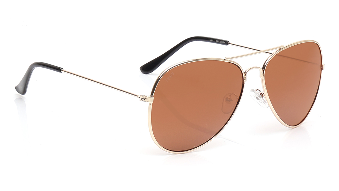 Brown Aviator Sunglasses for Men and Women available online at Fastrack ...