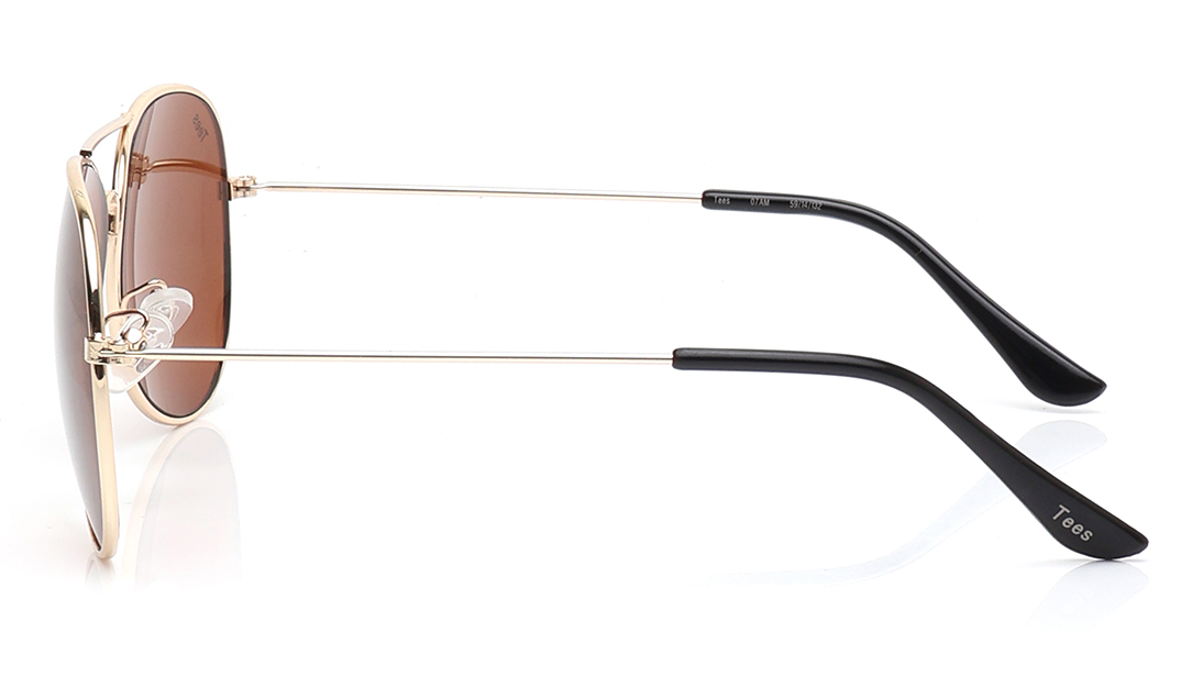 Brown Aviator Sunglasses for Men and Women available online at Fastrack ...